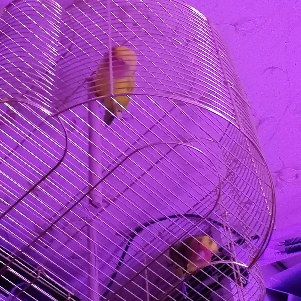 Иконка канала Delim Tim and Gosha, Eriska