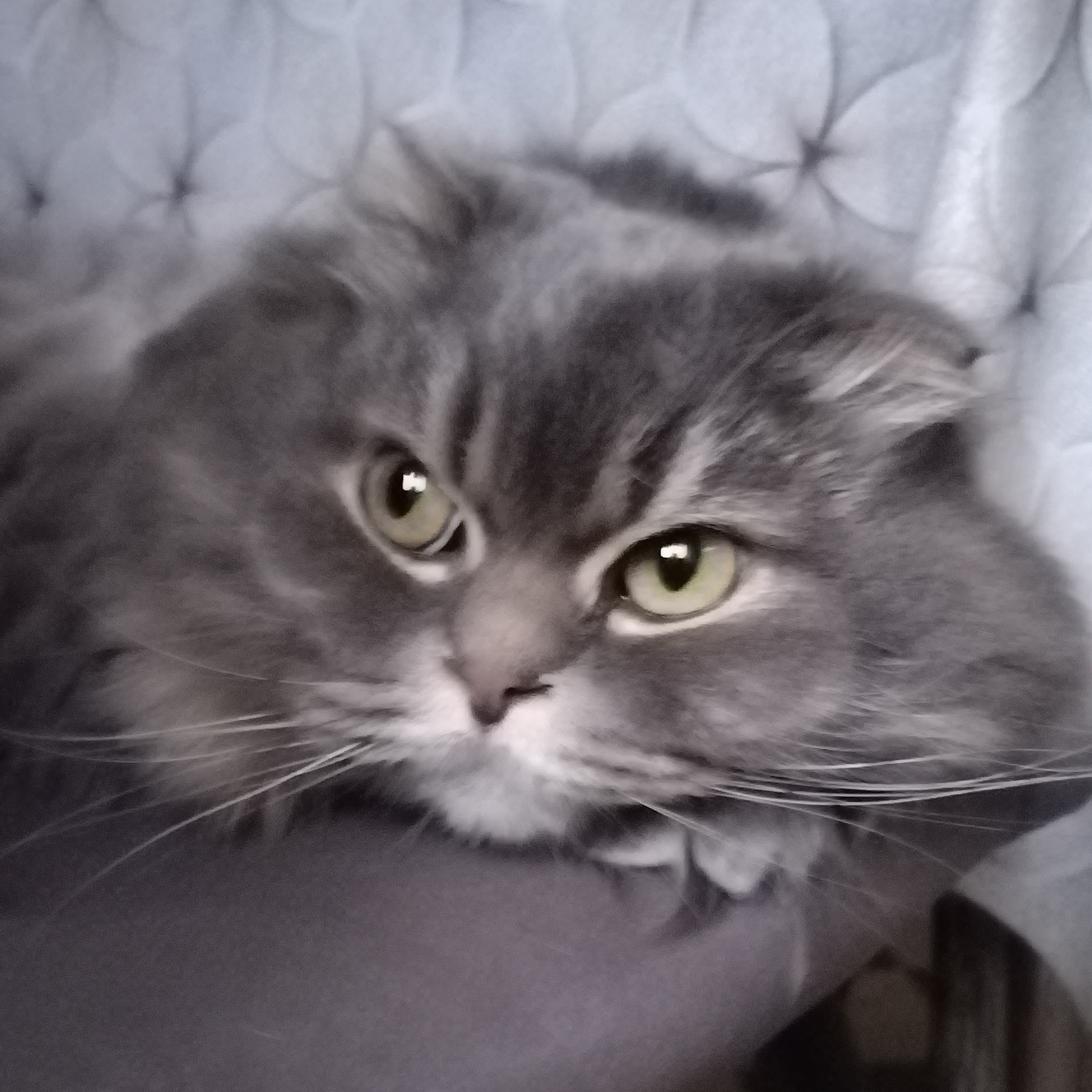 Иконка канала Ярул