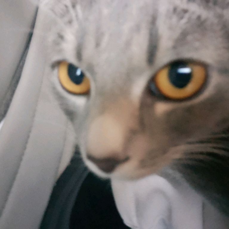 Иконка канала Алëнка(фан Бабы Алки)