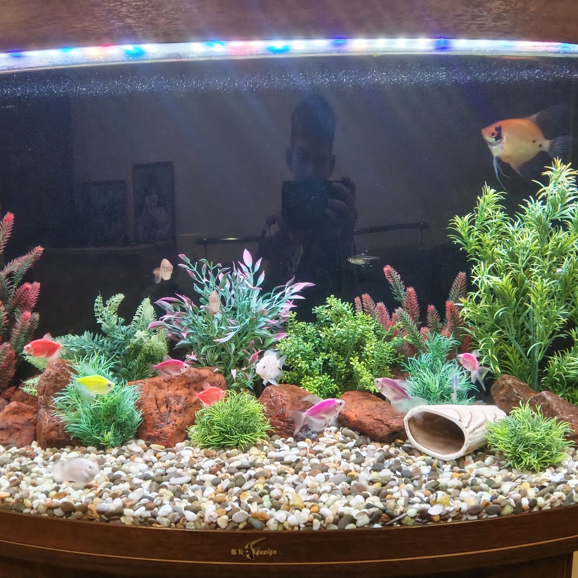 Иконка канала Artem Tokarev