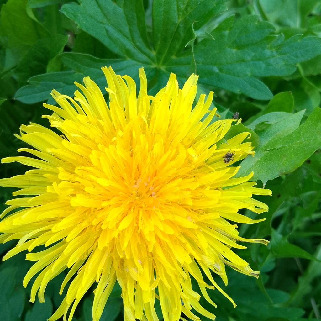 Иконка канала Красота Природы!777