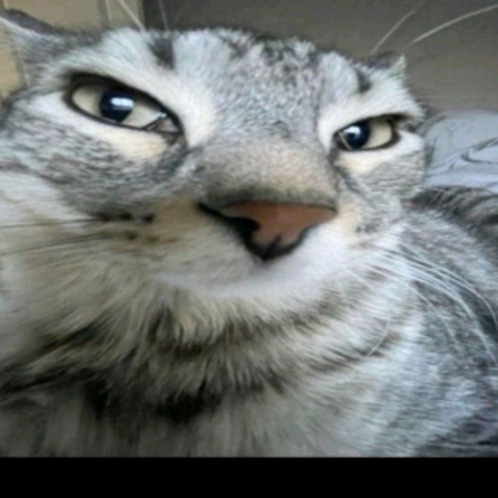 Иконка канала ᰔᴀᴩинᴀ 𝙻𝚒𝚏𝚎 ᰔ