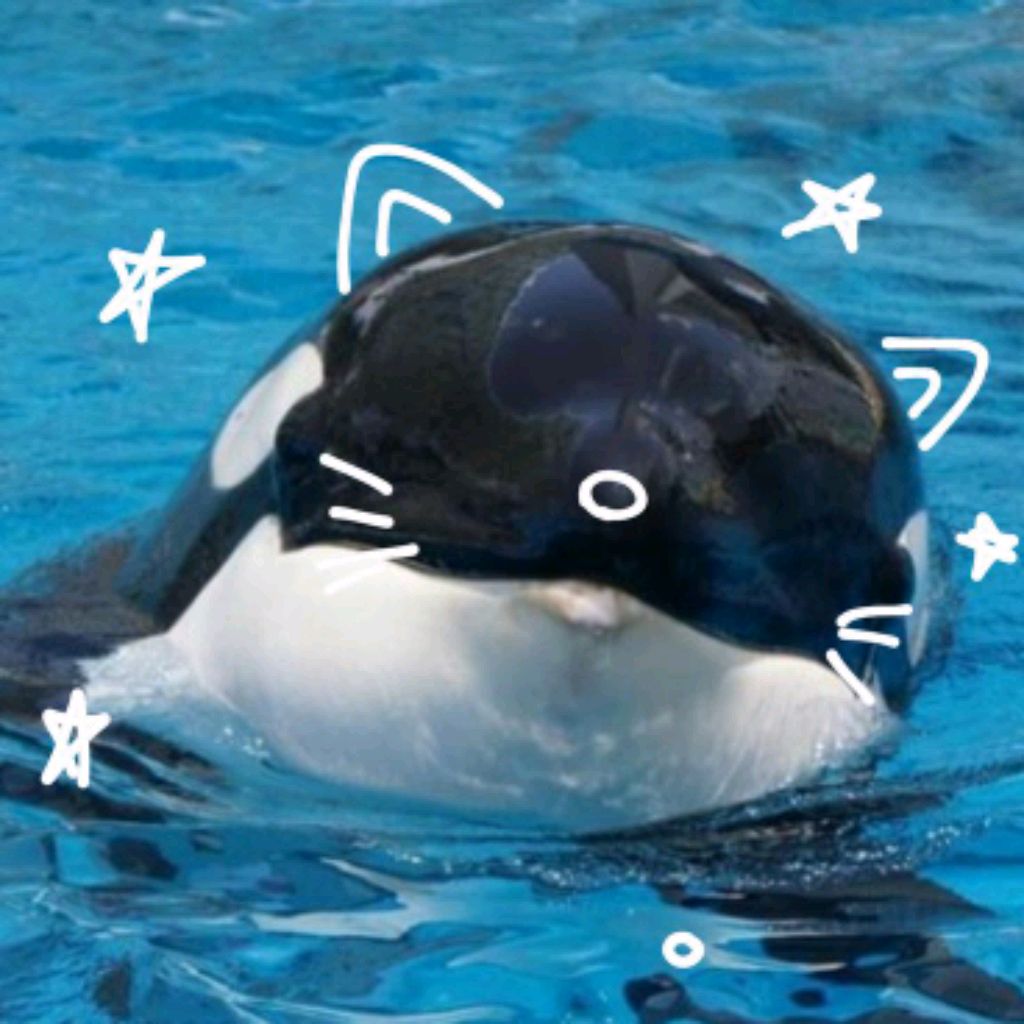 Иконка канала @🐬Miss Косатка🦈