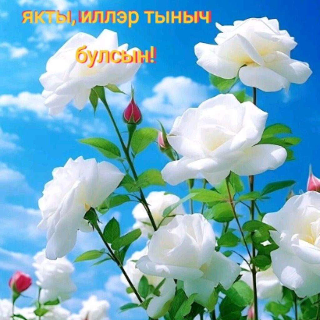 Иконка канала Татарские песни, Татарча жырлар