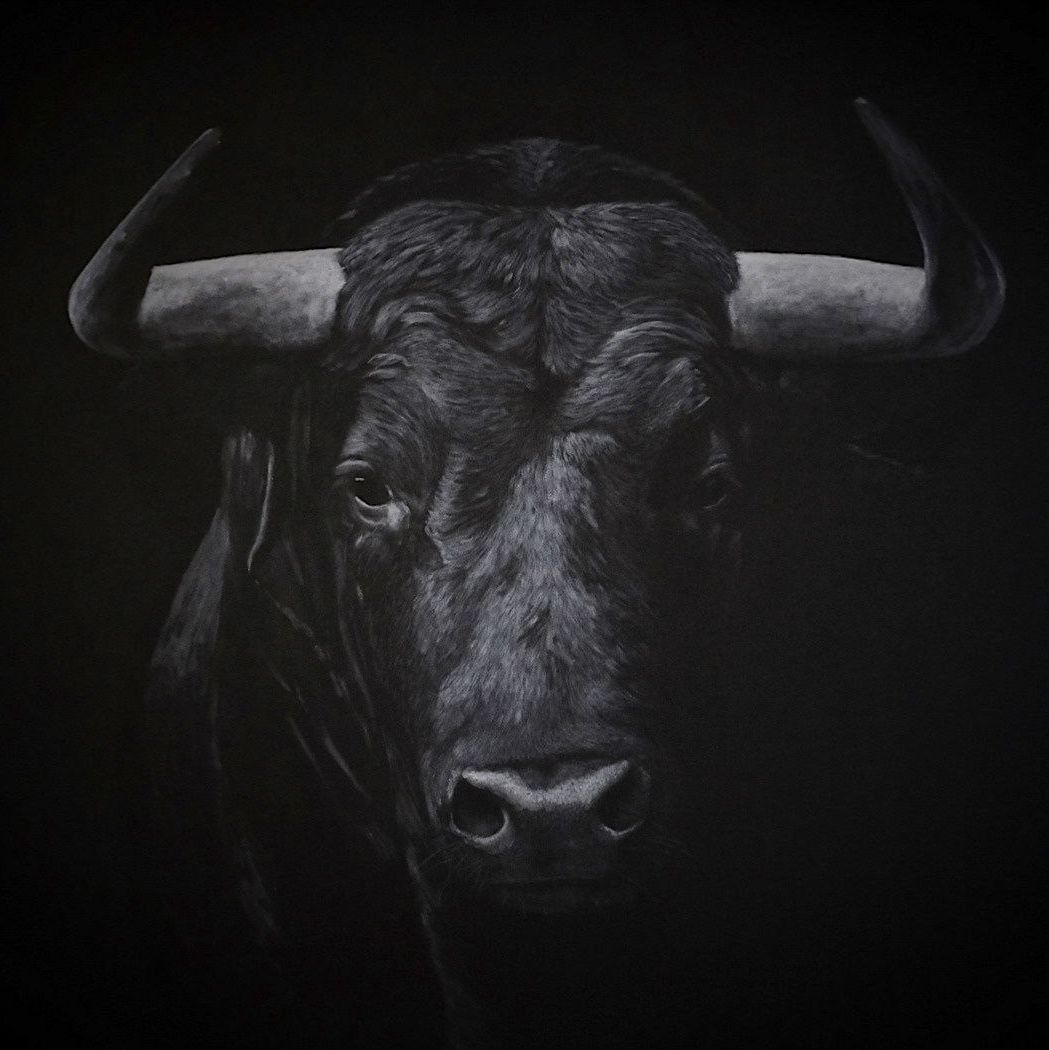 Иконка канала Taurus