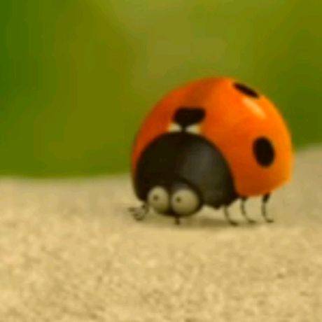 Иконка канала Насекомые 29k🐞🕷🐜🦗🦋🐛🐌🕷🐞🐝🐝