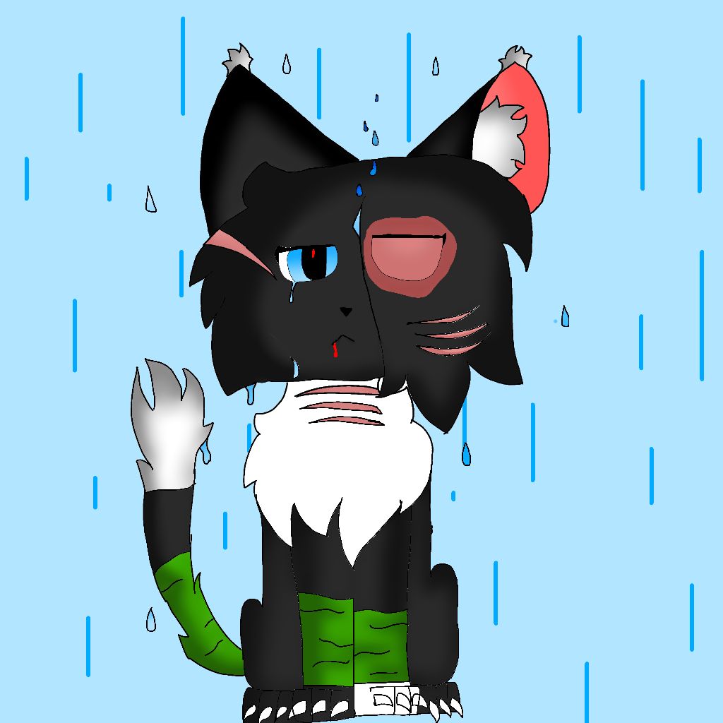 Иконка канала Чёрная звезда КВ