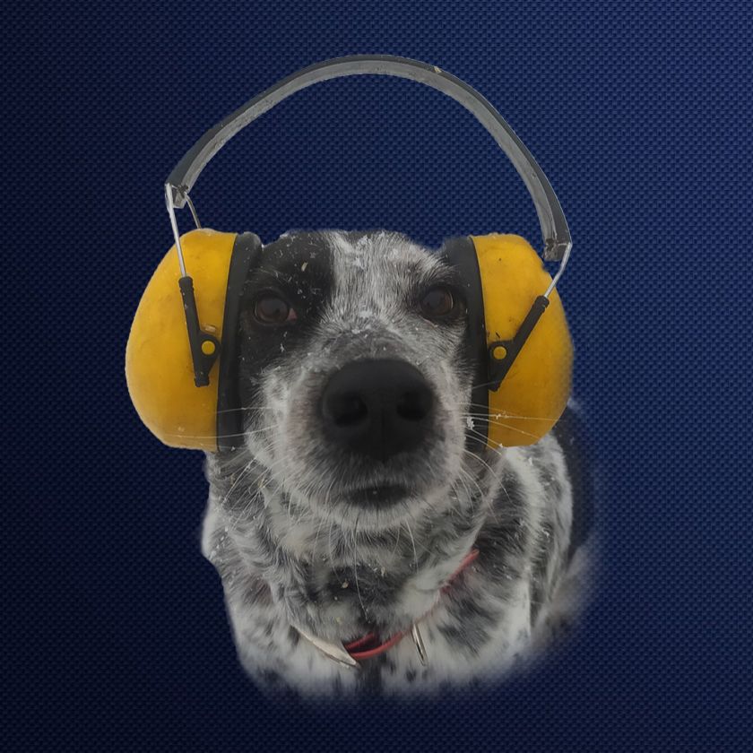 Иконка канала Нерпа