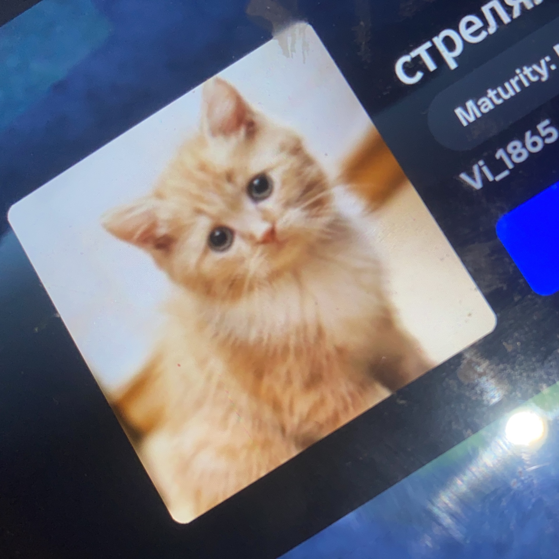 Иконка канала Лайmax