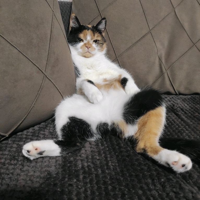 Иконка канала Макс И Ег Про