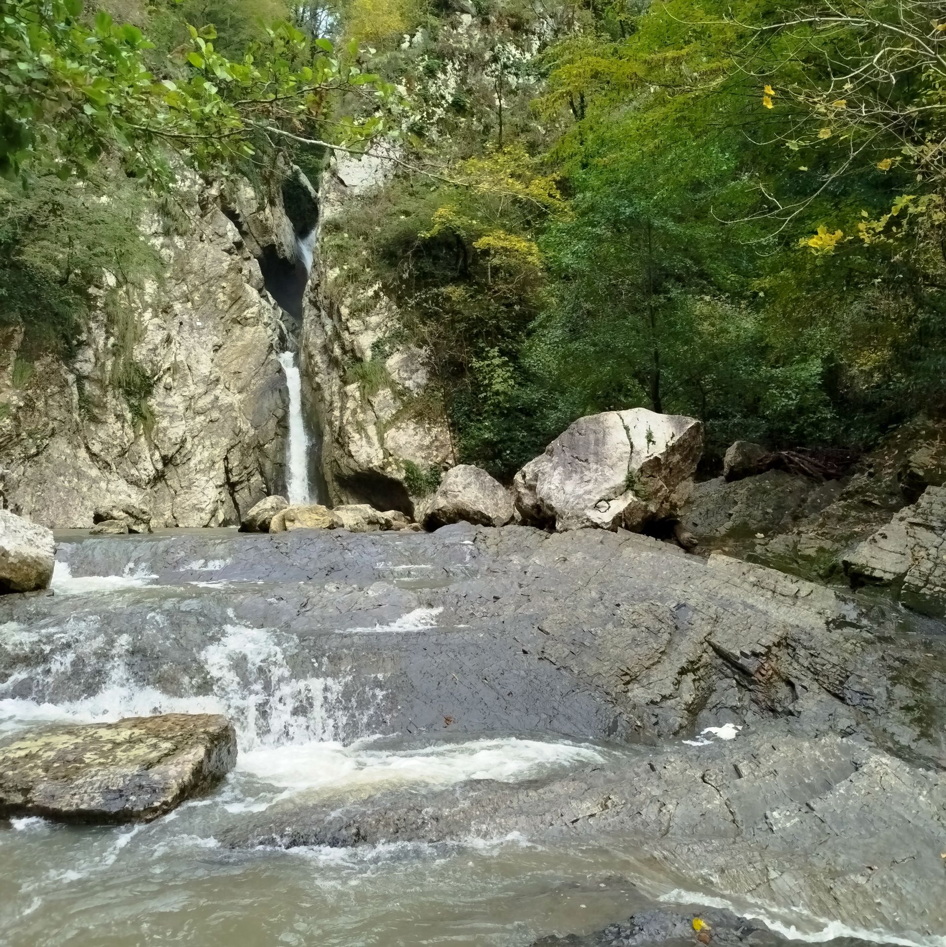 Иконка канала Maxim Russia