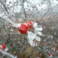 Иконка канала Школа Отечестволюбия