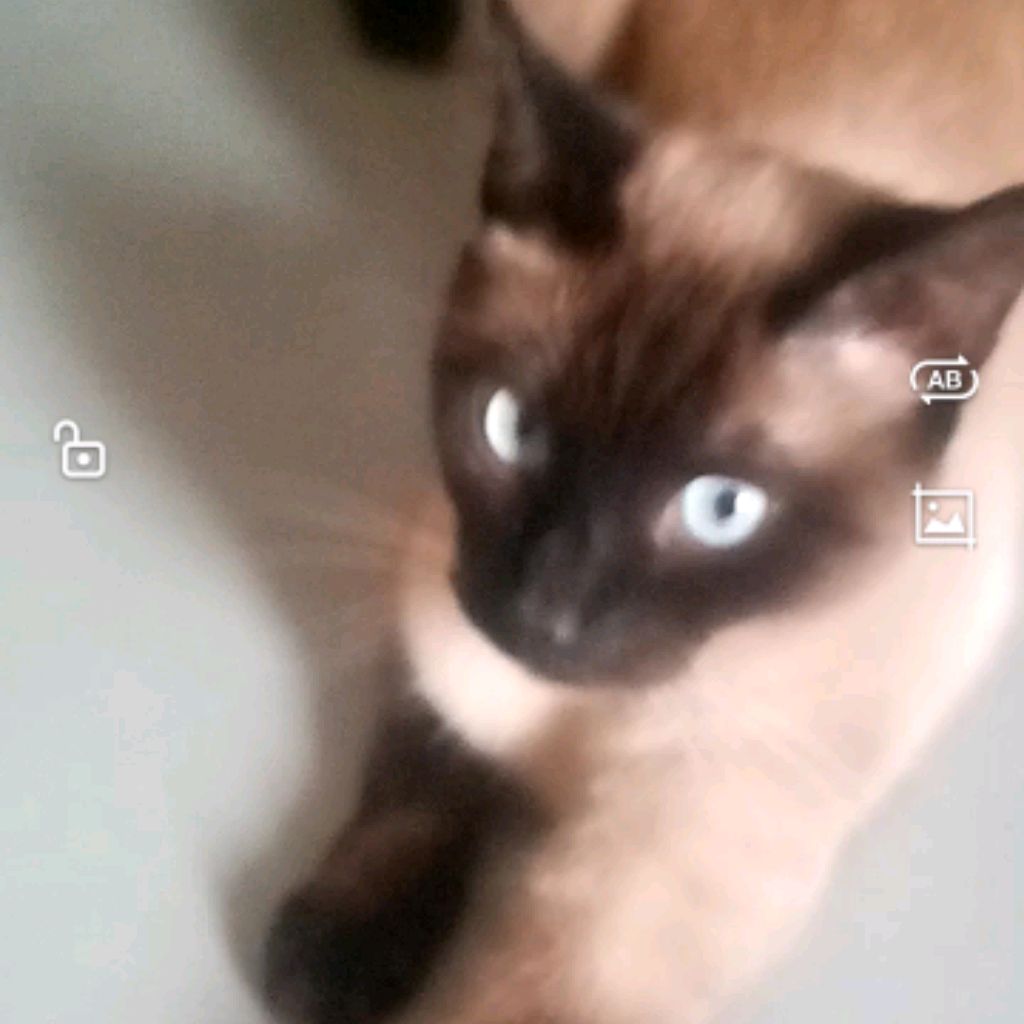 Иконка канала Слава