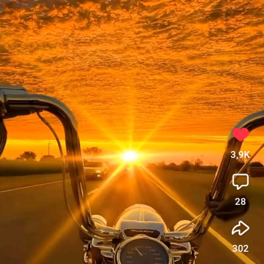 Иконка канала STONE COLD 1