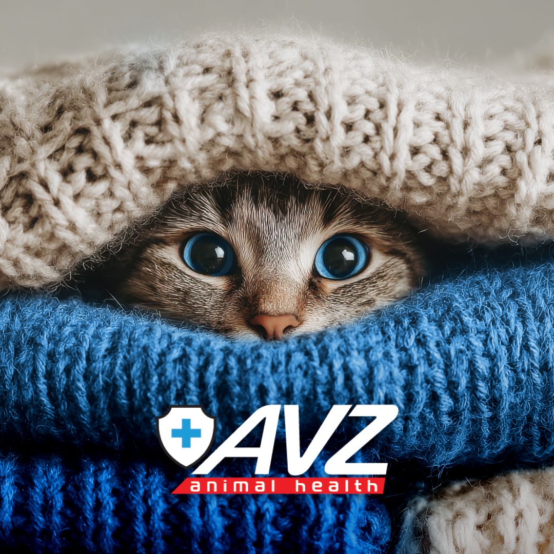 Иконка канала AVZ. Дайджест о здоровье животных