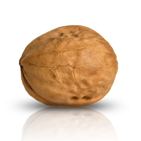 Иконка канала орех