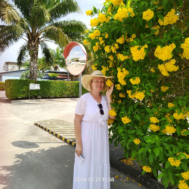 Иконка канала Мой Красочный Мир