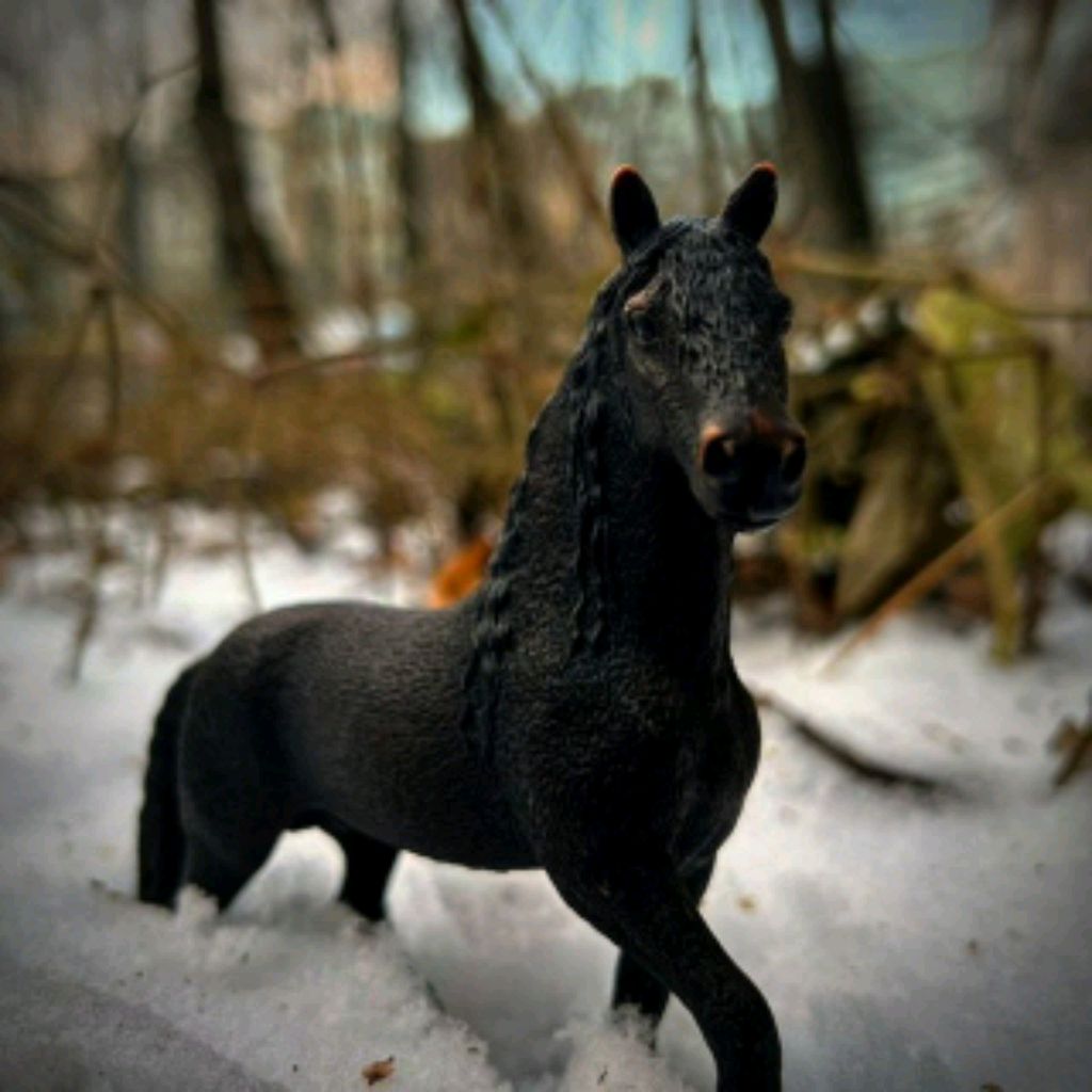 Иконка канала ●♡ Avantex~Studio ♡● (Horse Schleich)