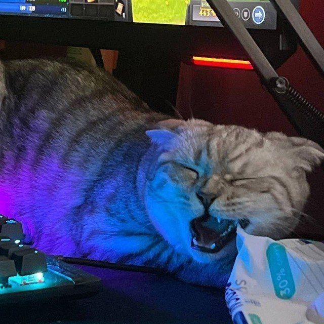 Иконка канала Romaw Ghoster