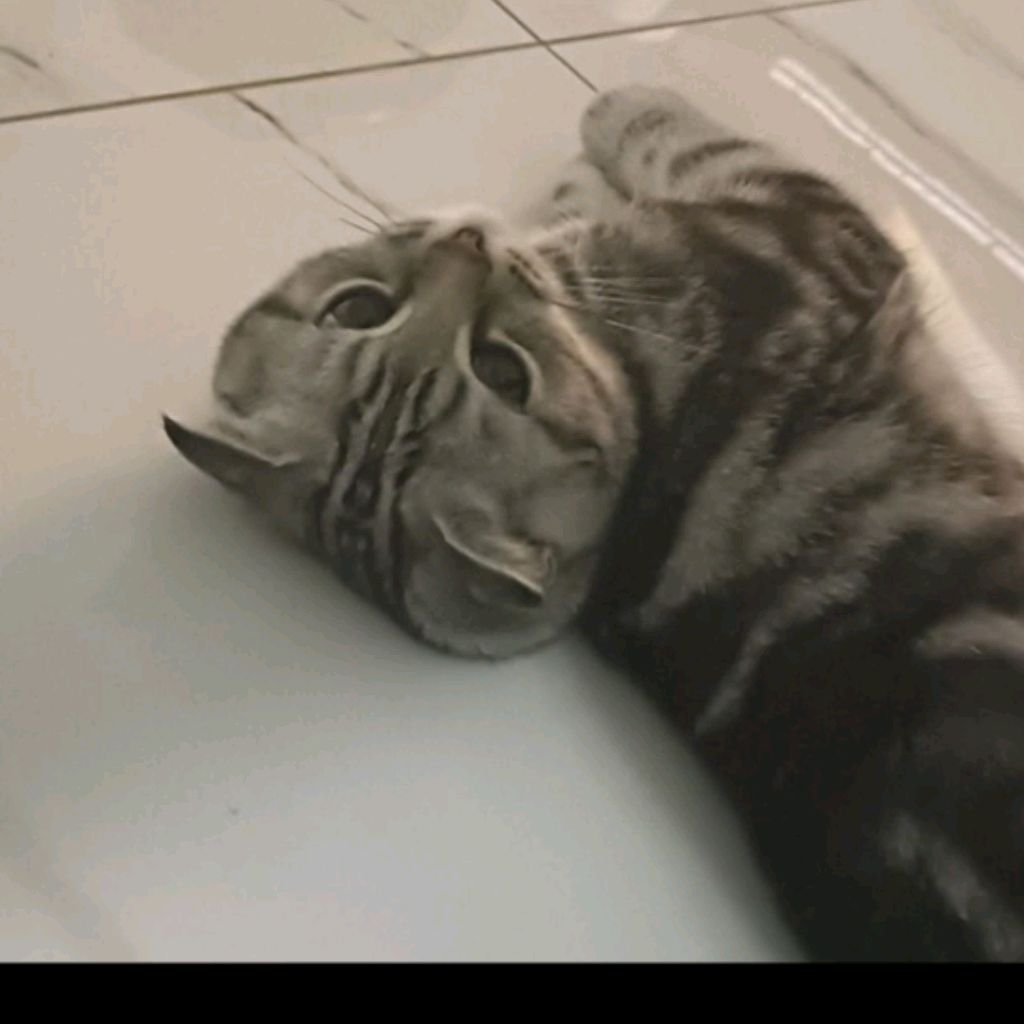 Иконка канала Милка🐤! И Бося🐊!