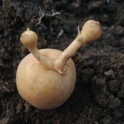 Иконка канала гараж с колена