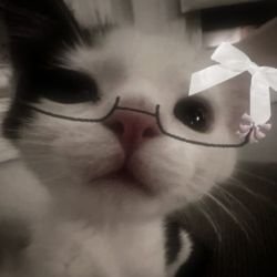 Иконка канала КЫСЯ