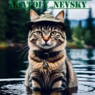 Иконка канала Anatoly_Nevsky