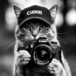 Иконка канала Karamsheff