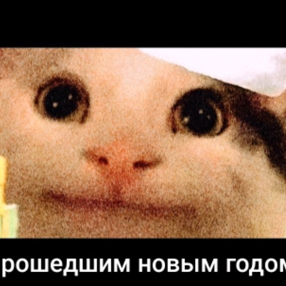 Иконка канала Winter Beluga