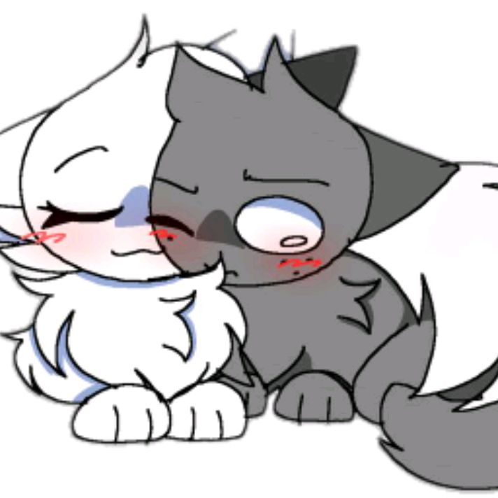 Иконка канала Таньчик Тока 😊