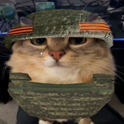 Иконка канала tarkovchanin