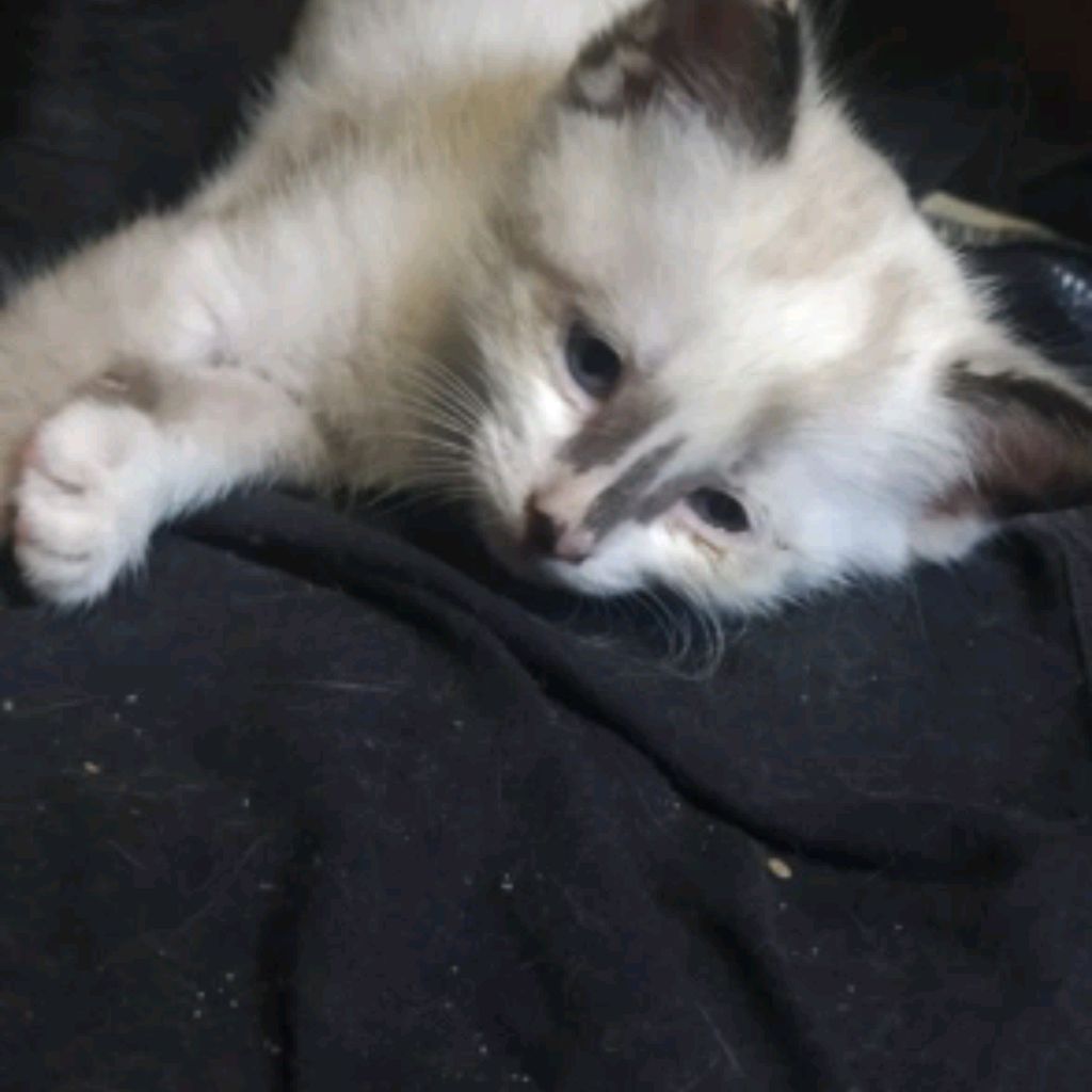 Иконка канала Алексей А