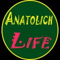 Иконка канала Анатолич Лайф - Anatolichlife