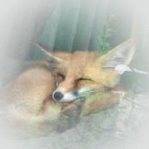 Иконка канала Климатическая теория прогресса