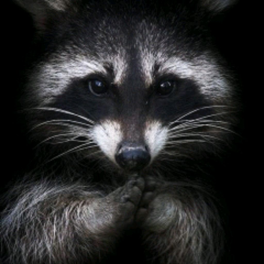 Иконка канала hkraba