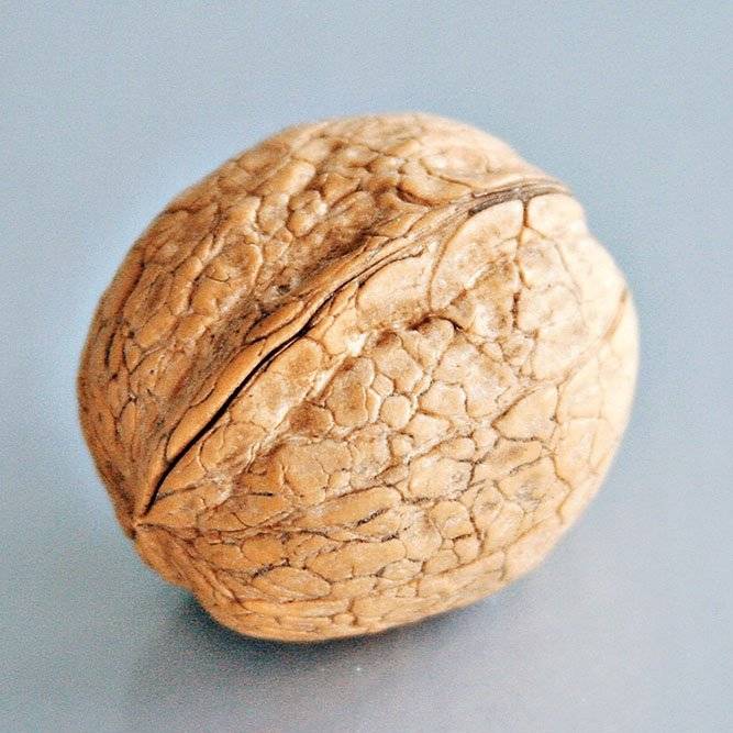 Иконка канала Opex