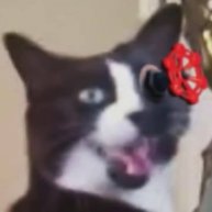 Иконка канала KoVriga