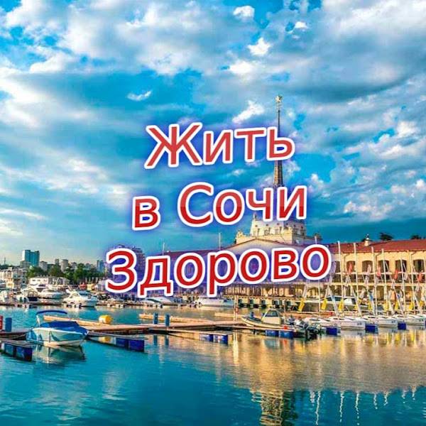 Иконка канала Жить в Сочи Здорово