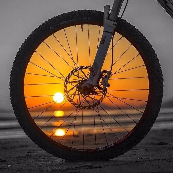 Иконка канала BIKE PROFI