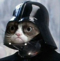 Иконка канала Шлем кошки