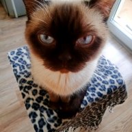 Иконка канала Рецепты На Каждый День