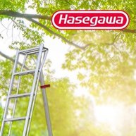 Иконка канала hasegawa.top