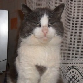 Иконка канала Активный отдых, путешествия