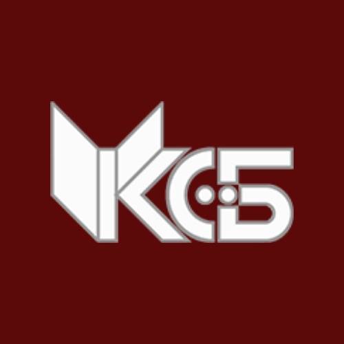 Иконка канала Красноярская краевая спецбиблиотека