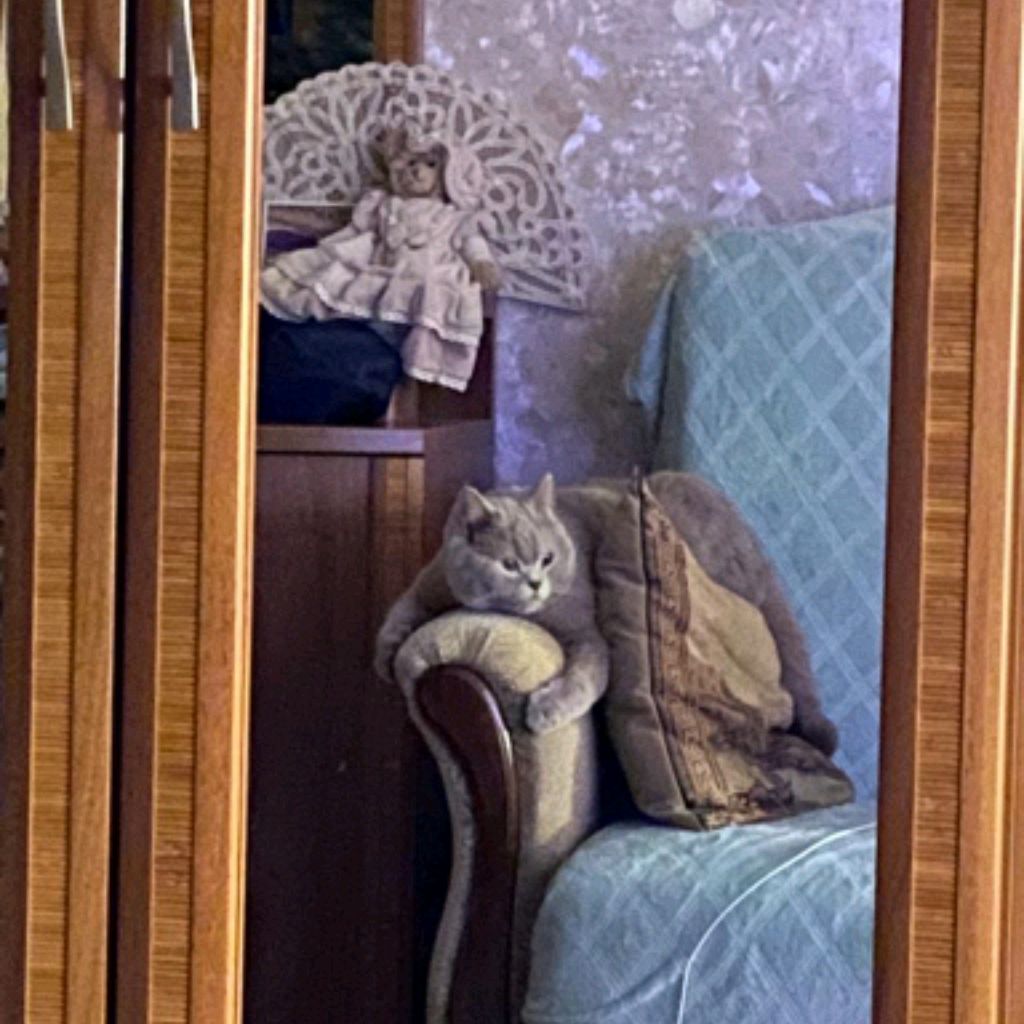 Иконка канала сава