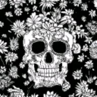 Иконка канала IVANROMANET