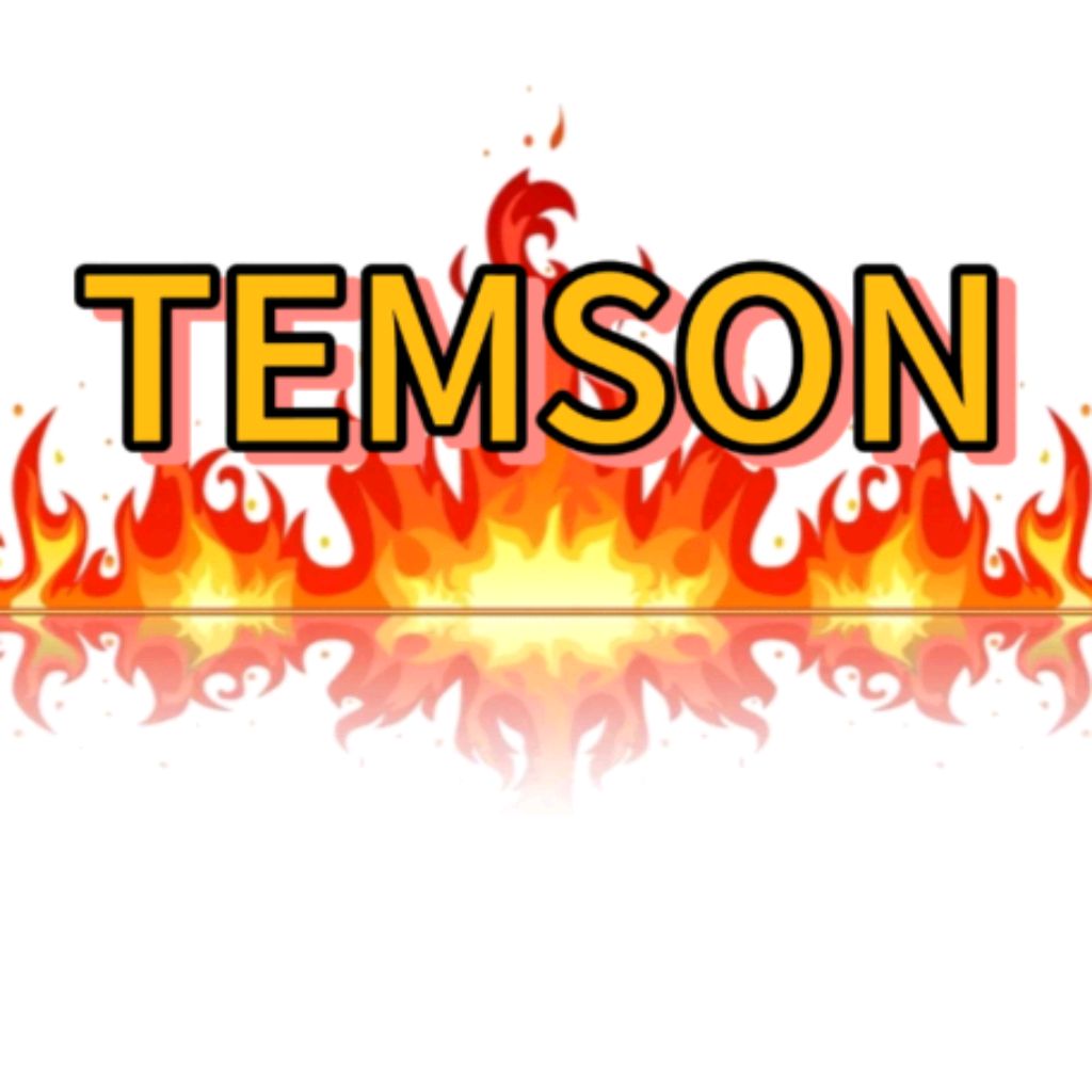 Иконка канала TEMSON