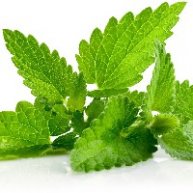 Иконка канала Herbal Health Treatment