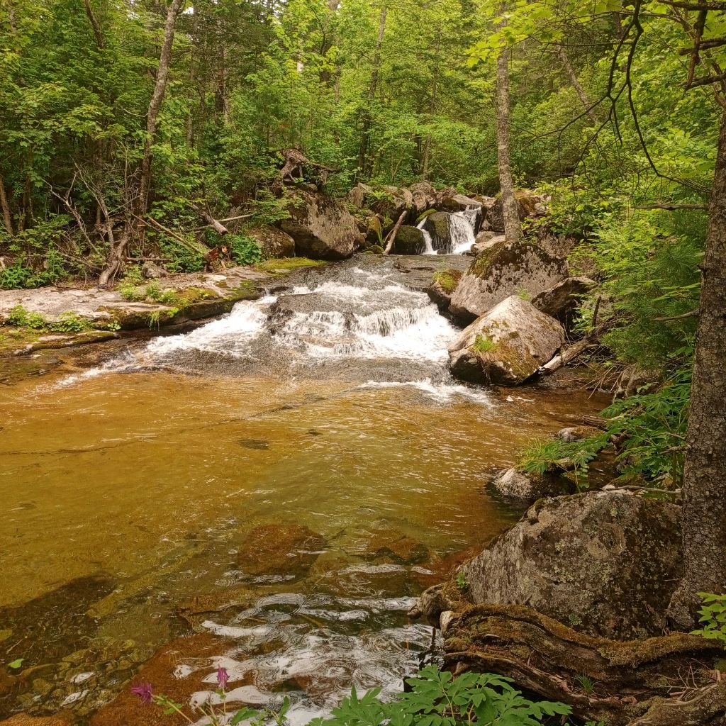 Иконка канала В поисках