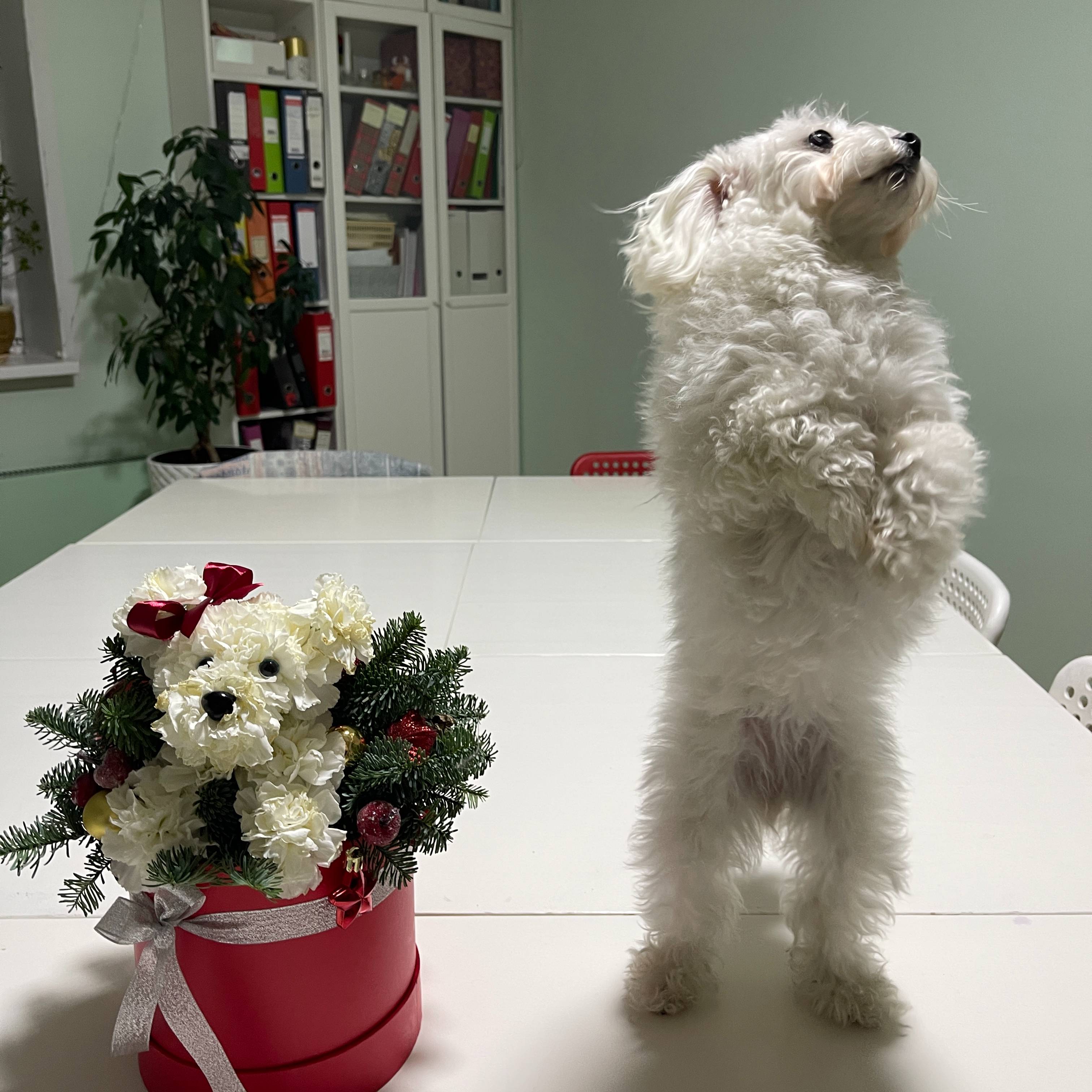 Иконка канала V&G Build House